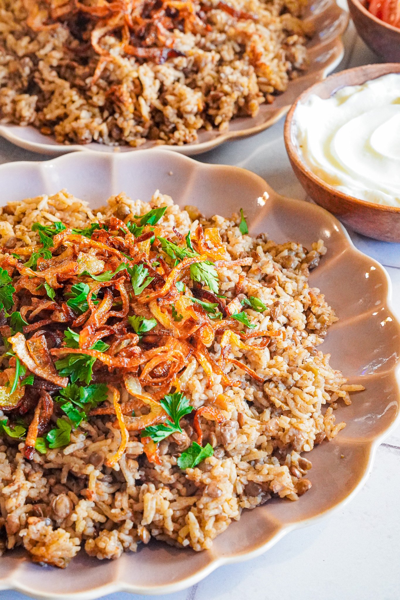 Lebanese Mujadara - Lentils and Rice with Caramelized Onions ...